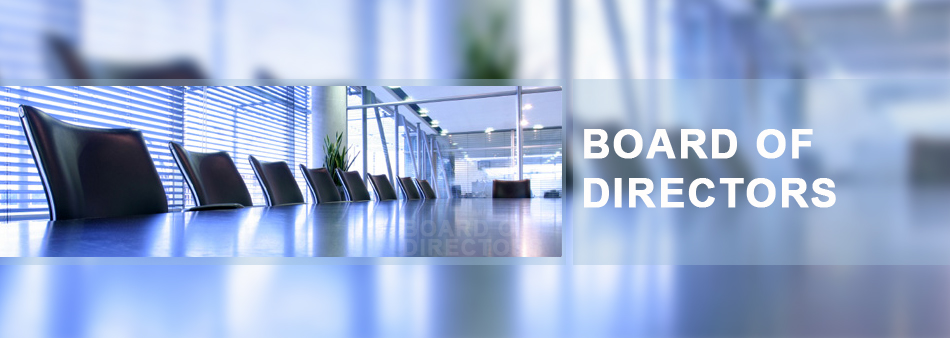 2022 Board of Directors – Central Illinois PRSA